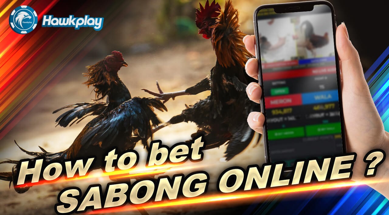 How to Play Online Sabong in PH? Latest Sabong Guide 2024